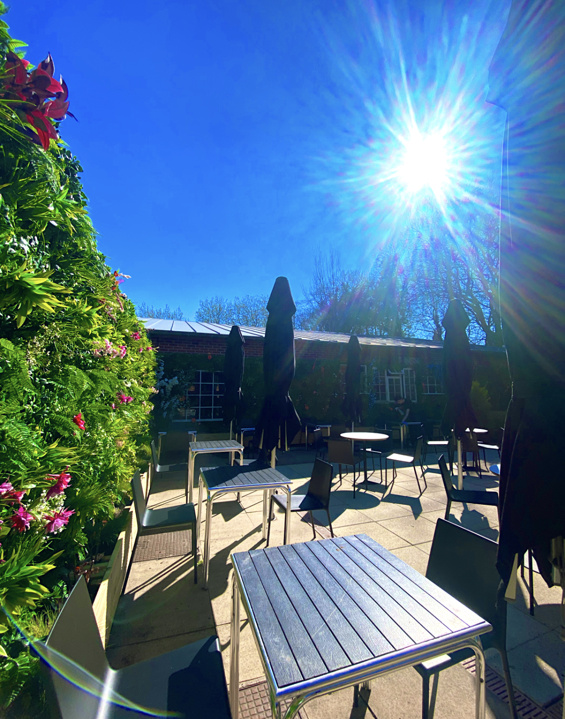 The Wheelbarrow launches stunning new terrace
