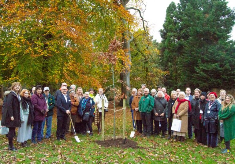 The Reader launches new events in Calderstones Park - Explore Liverpool