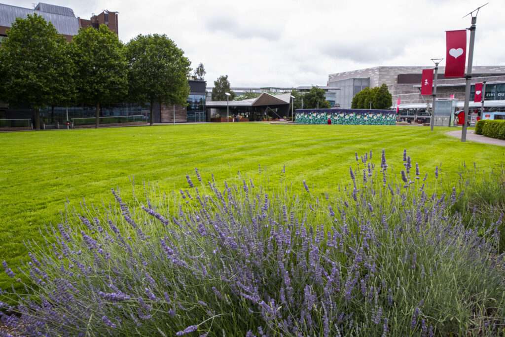 Liverpool ONE’s Chavasse Park named among UK’s top green spaces