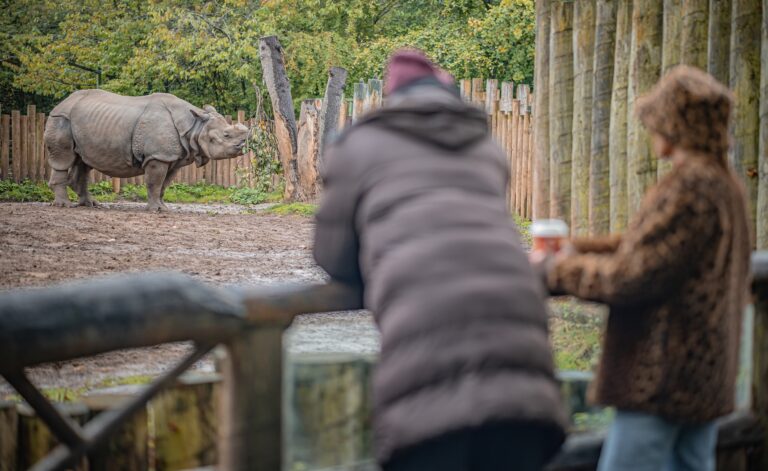 Chester Zoo to offer £1 festive entry for families on Universal Credit ...
