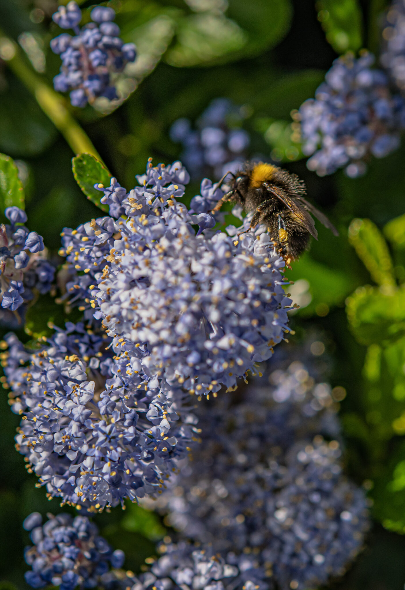 RHS Chelsea Show Garden Has Permanent Home at Chester Zoo
